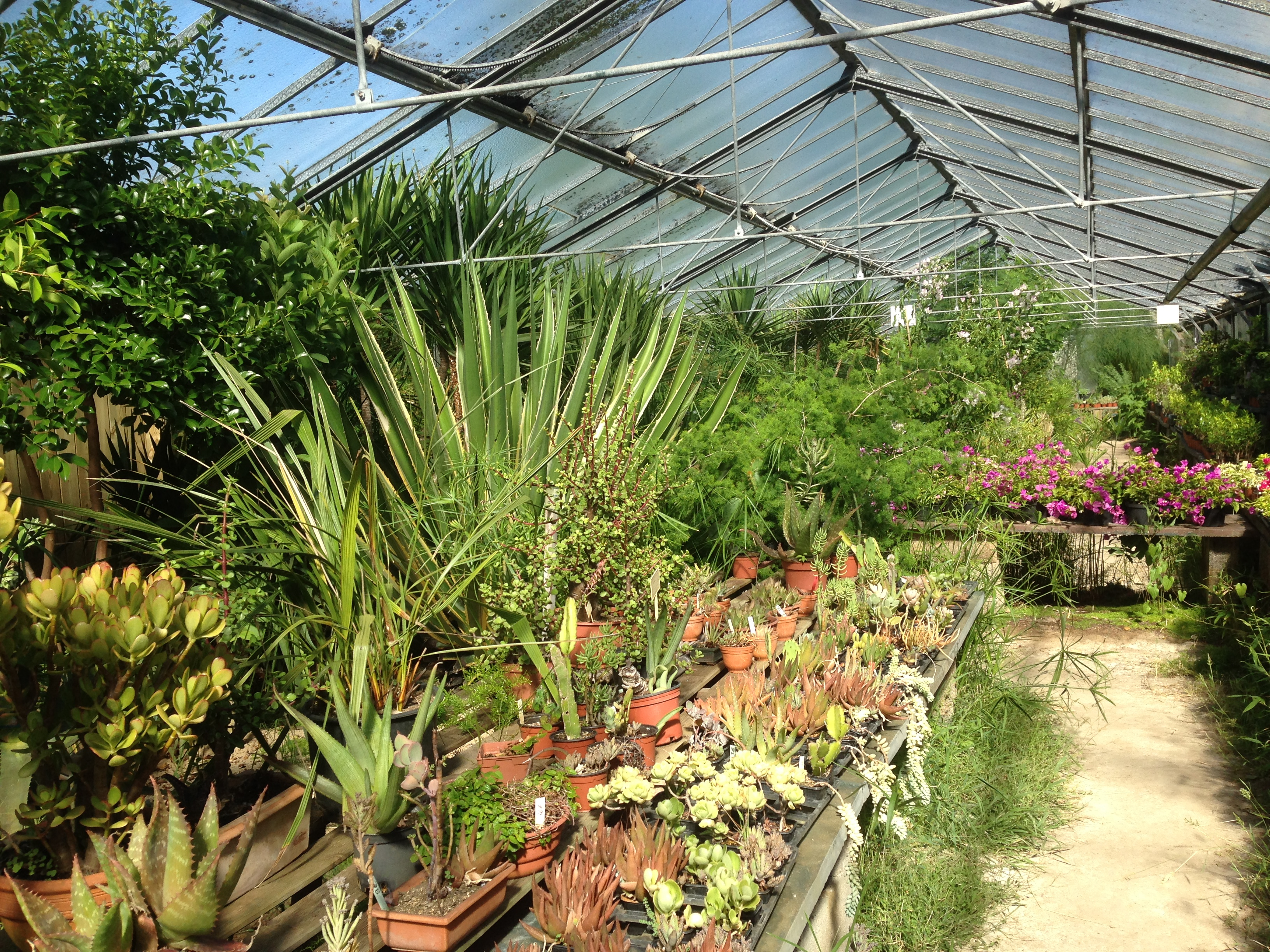 Tropicarium Bonsai La Baule
