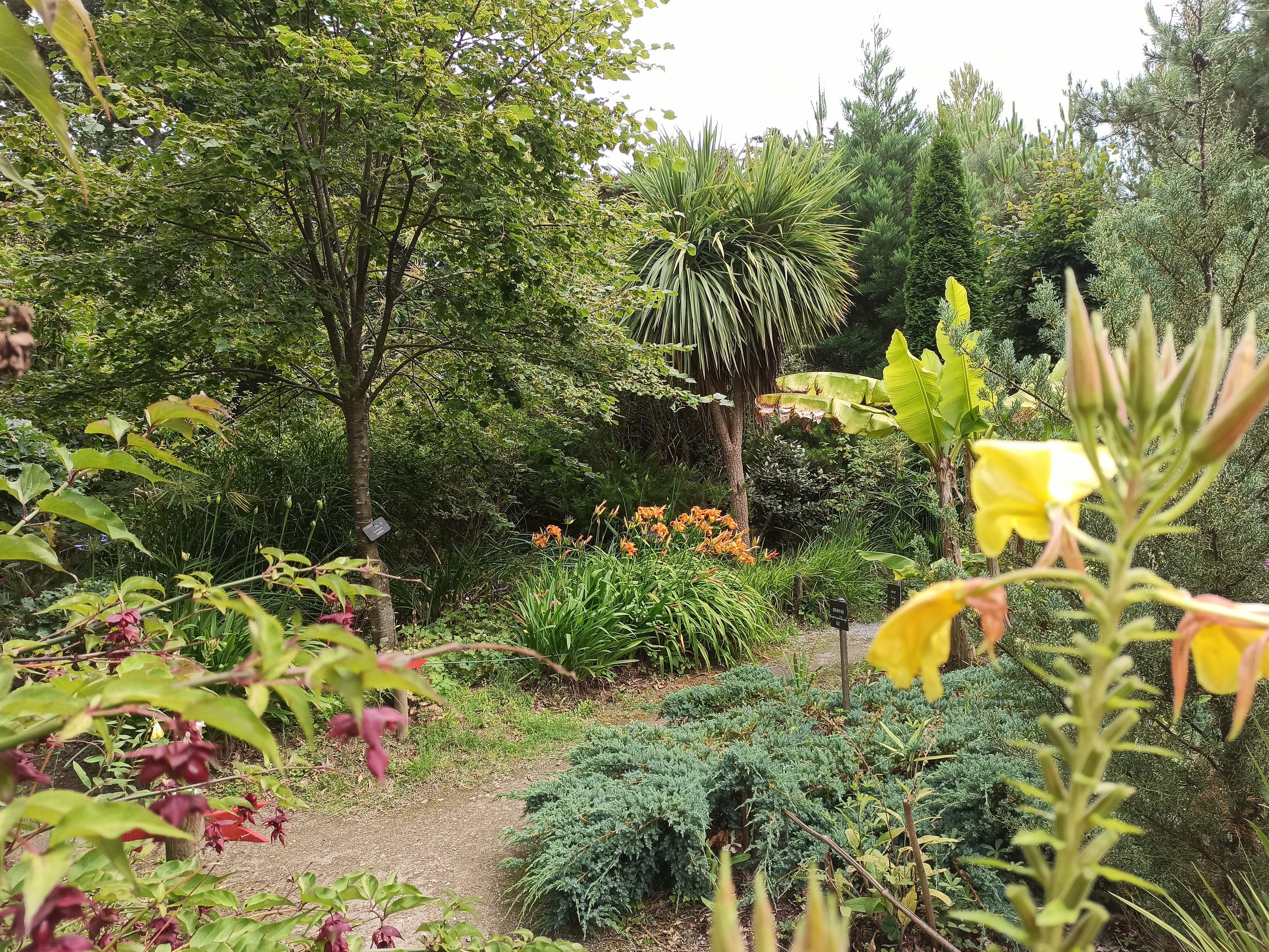 Le Jardin du Tropicarium – Un voyage tropical au cœur de La Baule